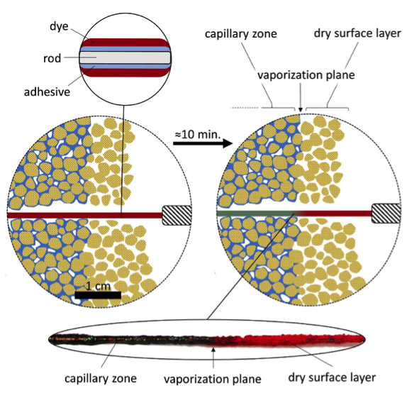 A microdestructive method using dye-coated-probe to visualize capillary ...